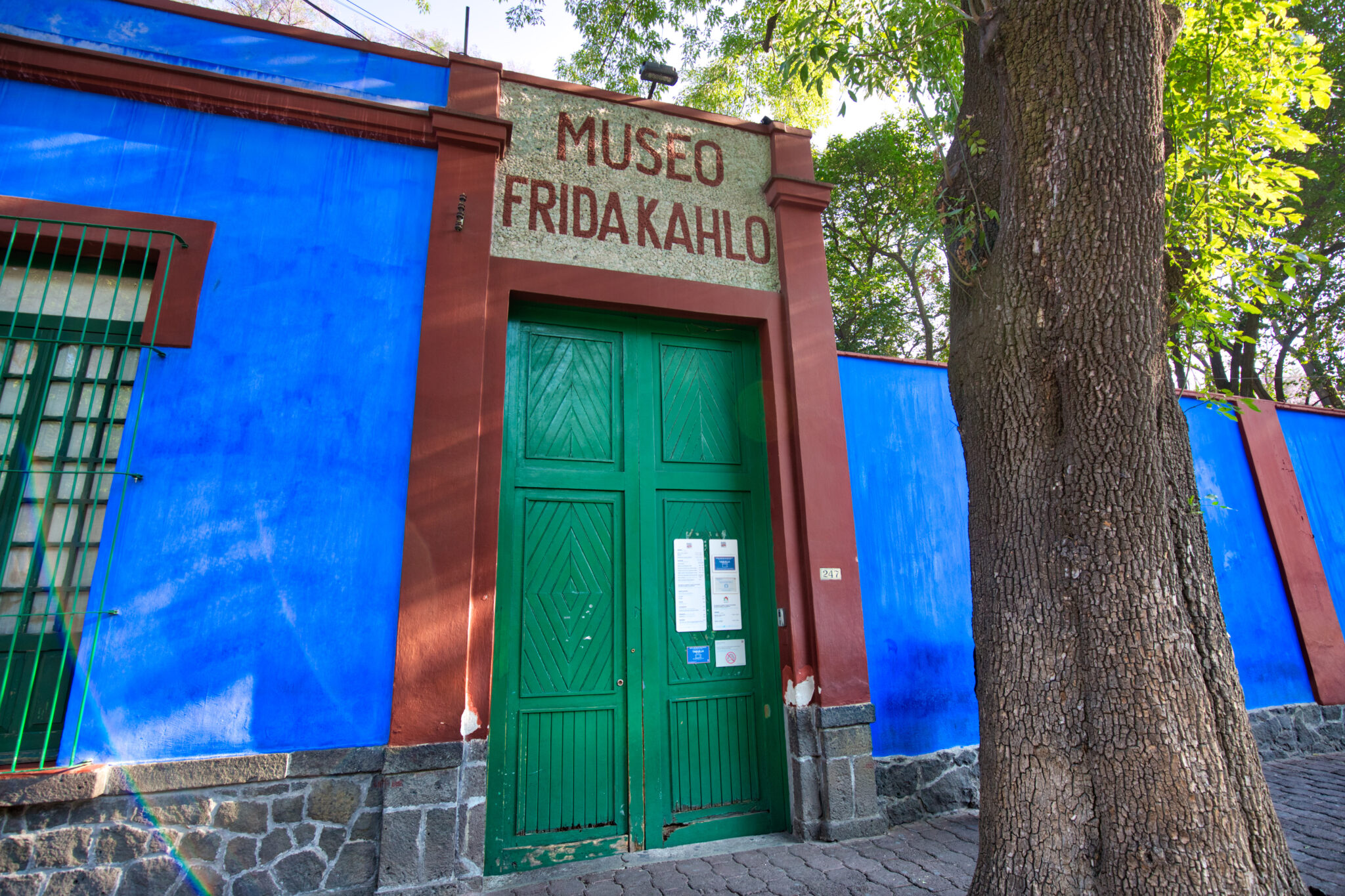 Frida Kahlo | Surrealism & Modern Art Icon (1907–1954)